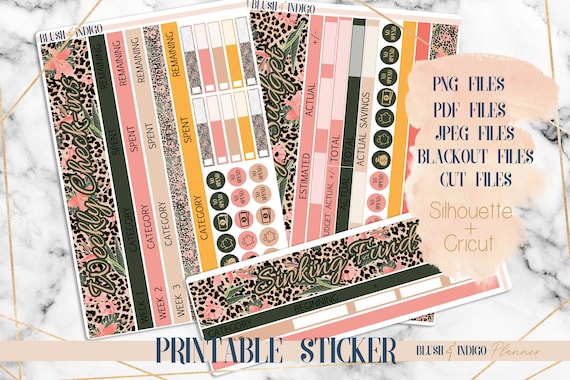 Printable Budget Sticker Kit Planner Stickers for Erin | Etsy