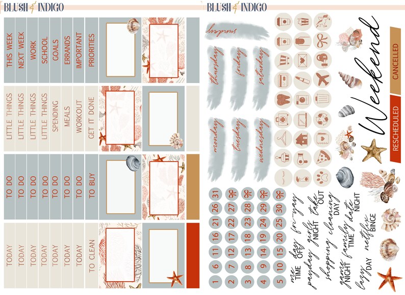 Seashell Summer Printable Planner Stickers Printable Weekly - Etsy