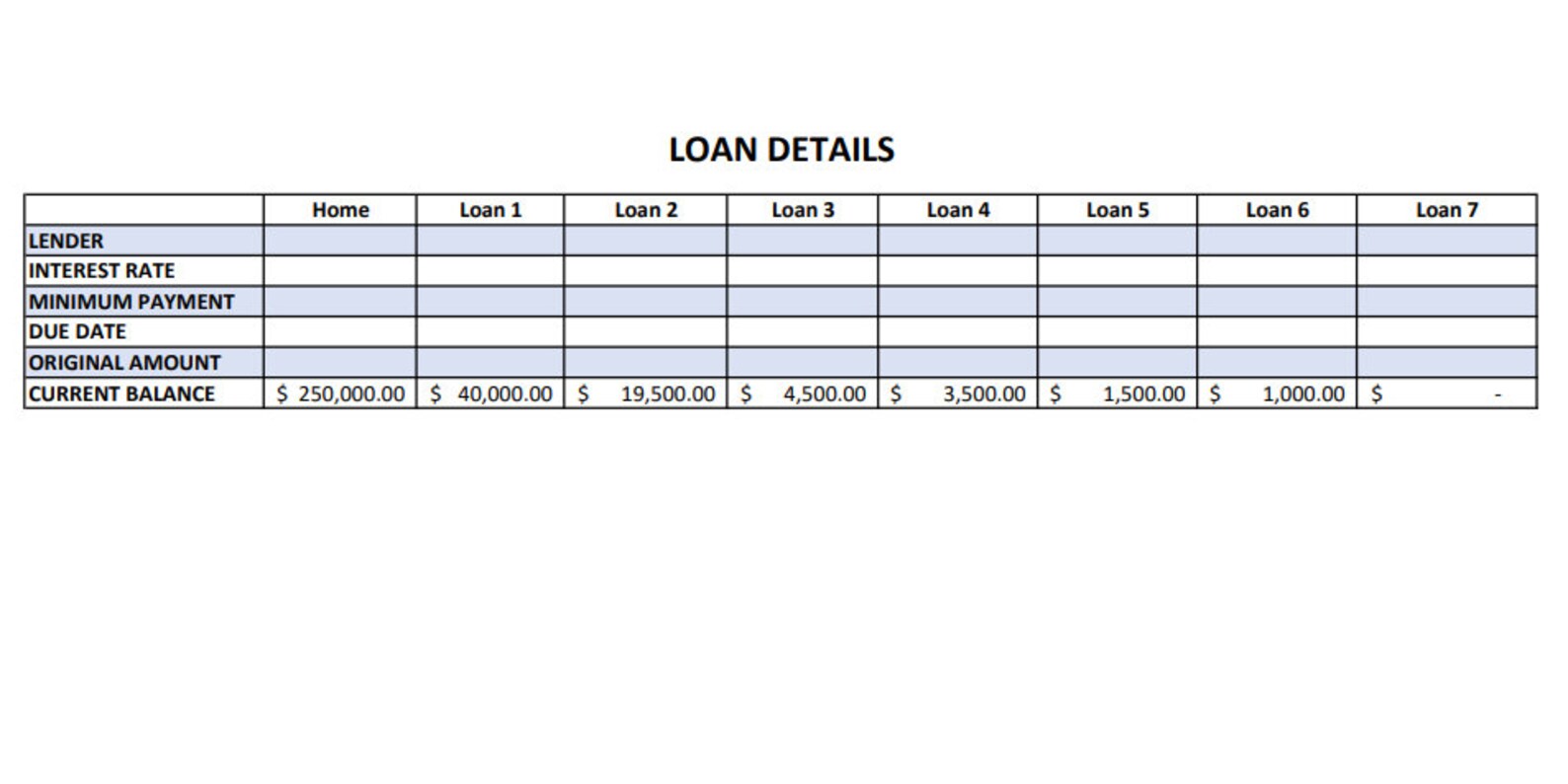 Basic Loan Payment Tracking Template - Etsy