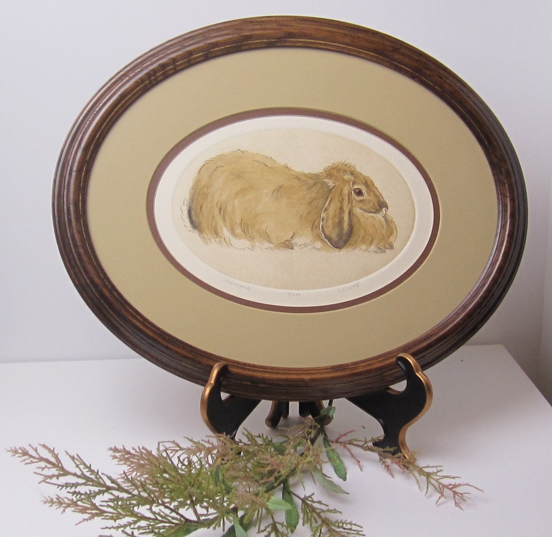 Vintage Rabbit Etching by Susan Knoll, Signed and Numbered - Etsy