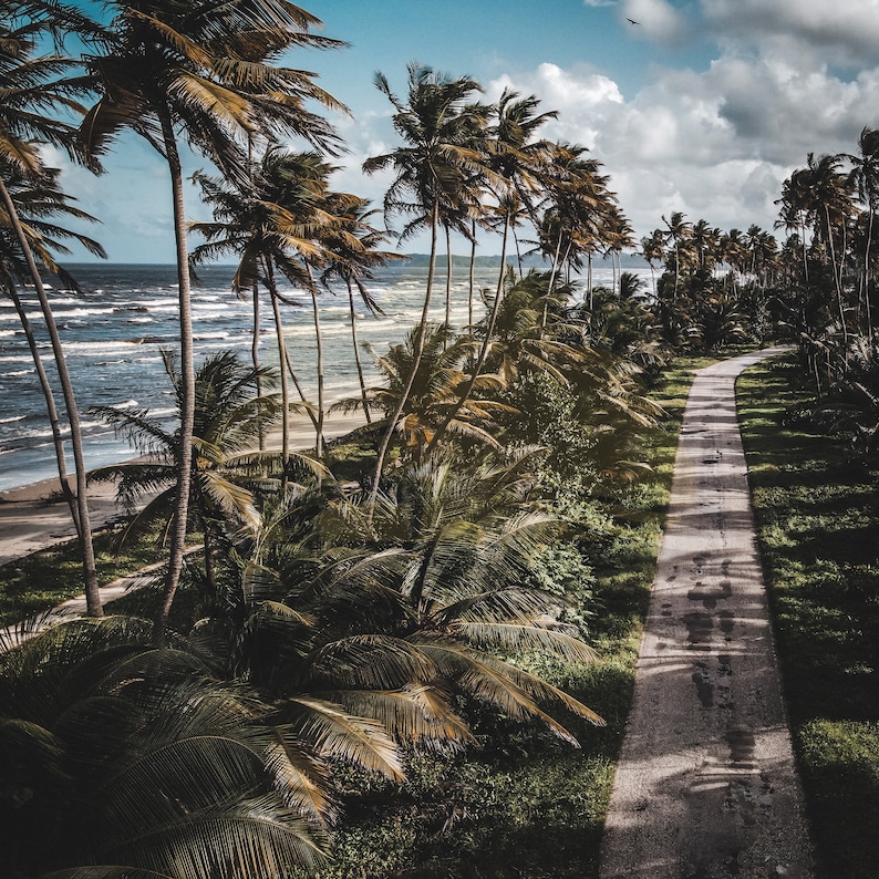 Beautiful Caribbean Beaches, Trinidad & Tobago, Manzanilla, Cocos Bay ...