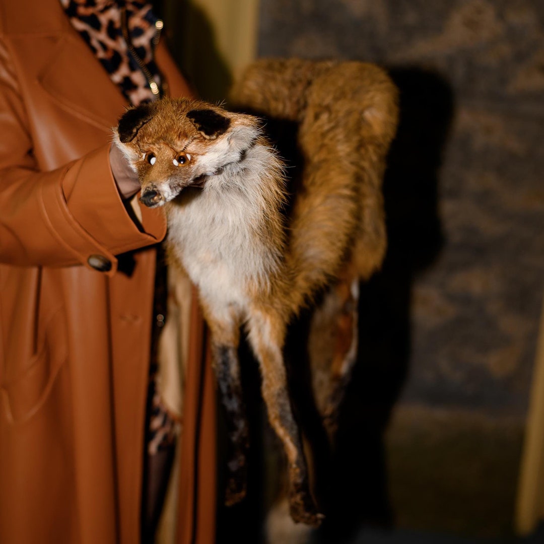 Red Fox Fur Pelt, Genuine Fox Pelts, Extra Large Animal Leather, Animal ...