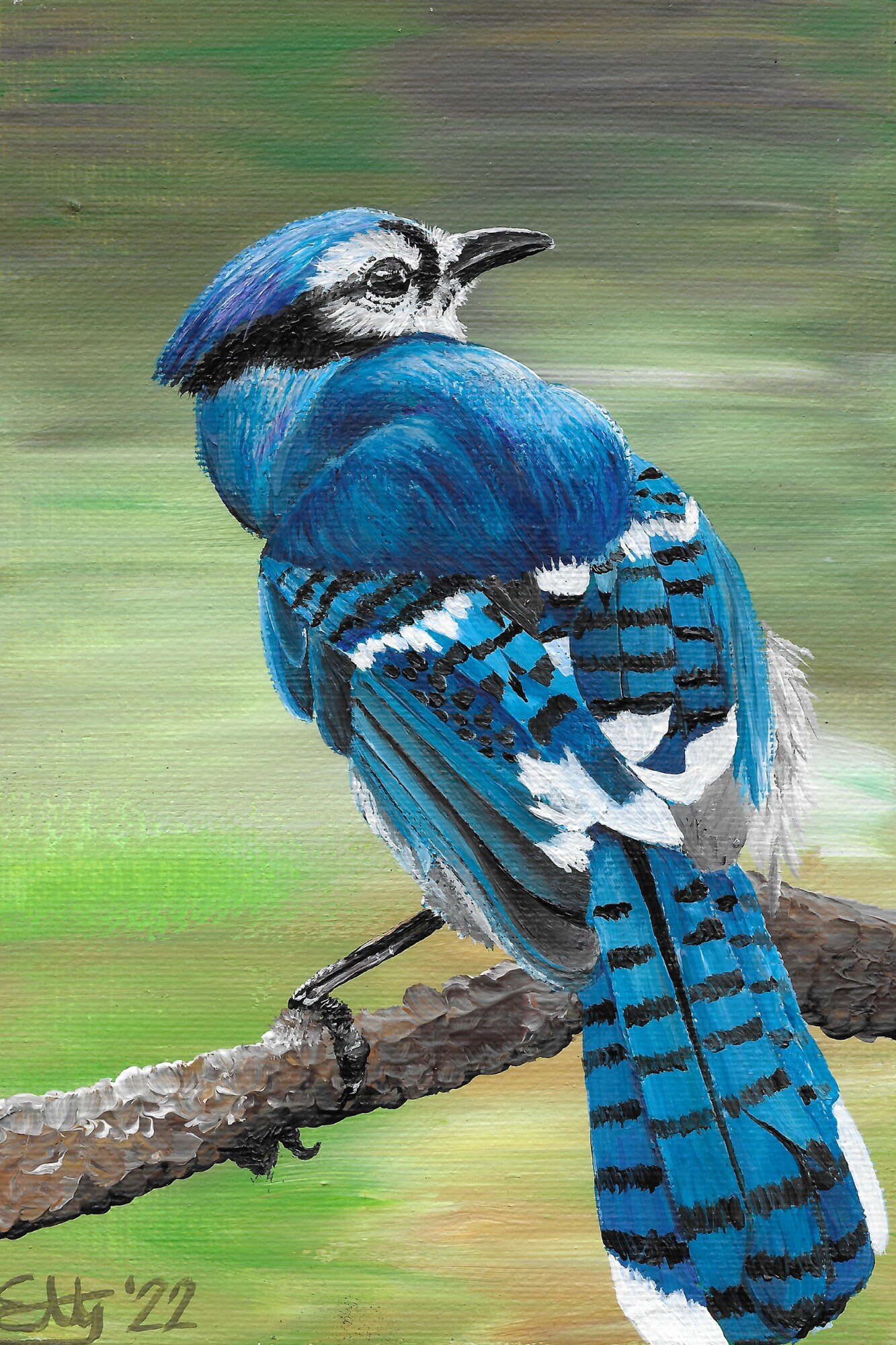 Digital Printable | Blue Jay | Wall Art | Room Decor - Etsy