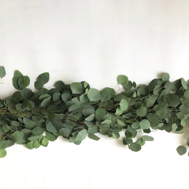 Fresh Garland - Etsy
