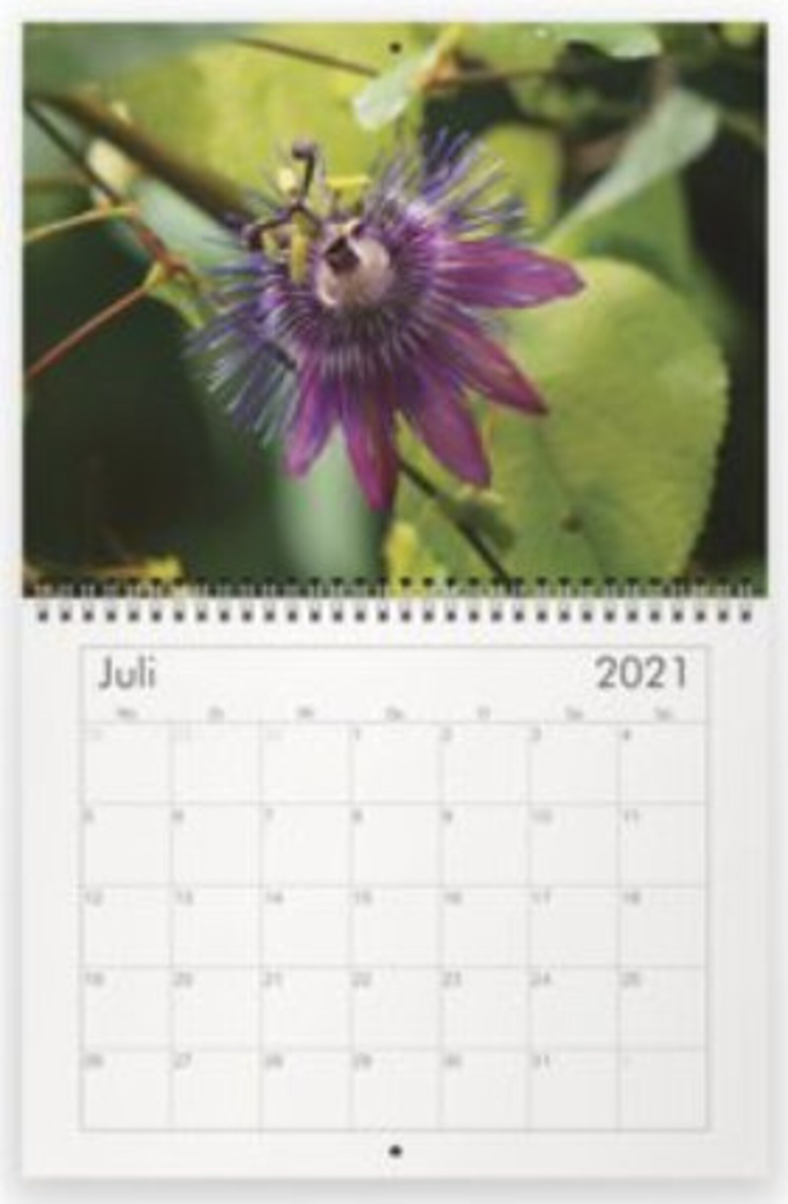 2021 Nature Calendar/ Nature Photography Calendar/ 2021 Calendar/ 2021 ...