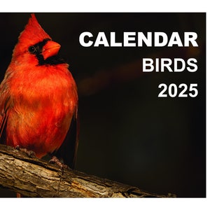 2025 Cardinal Bird Calendar - Etsy
