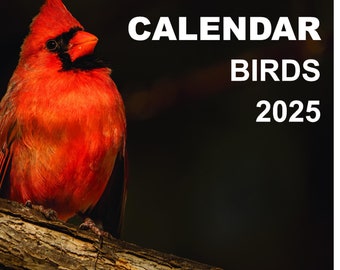 2025 Wall Calendar a Colourful Wildlife Calendar With Illustrated Birds ...