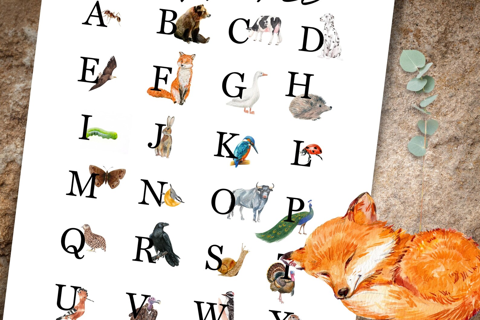 Homeschool Alphabet Poster With Watercolor Animals A B C - Etsy