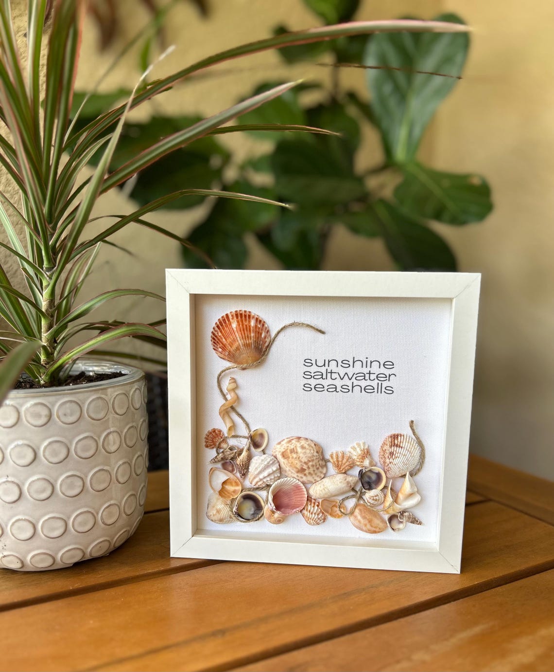 Sunshine Saltwater Seashells Shadow Box / Original Florida Handmade Art ...