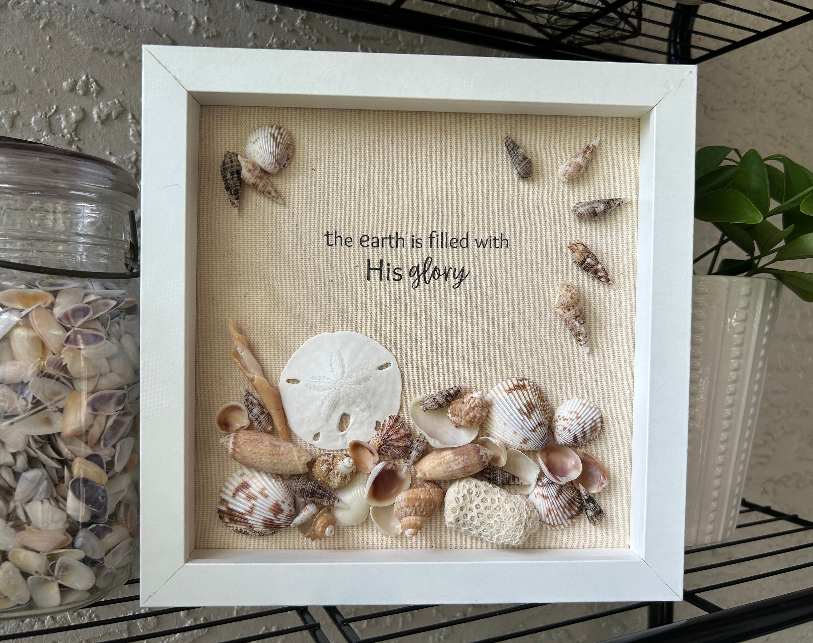 The Earth Shadow Box / Shells - Etsy