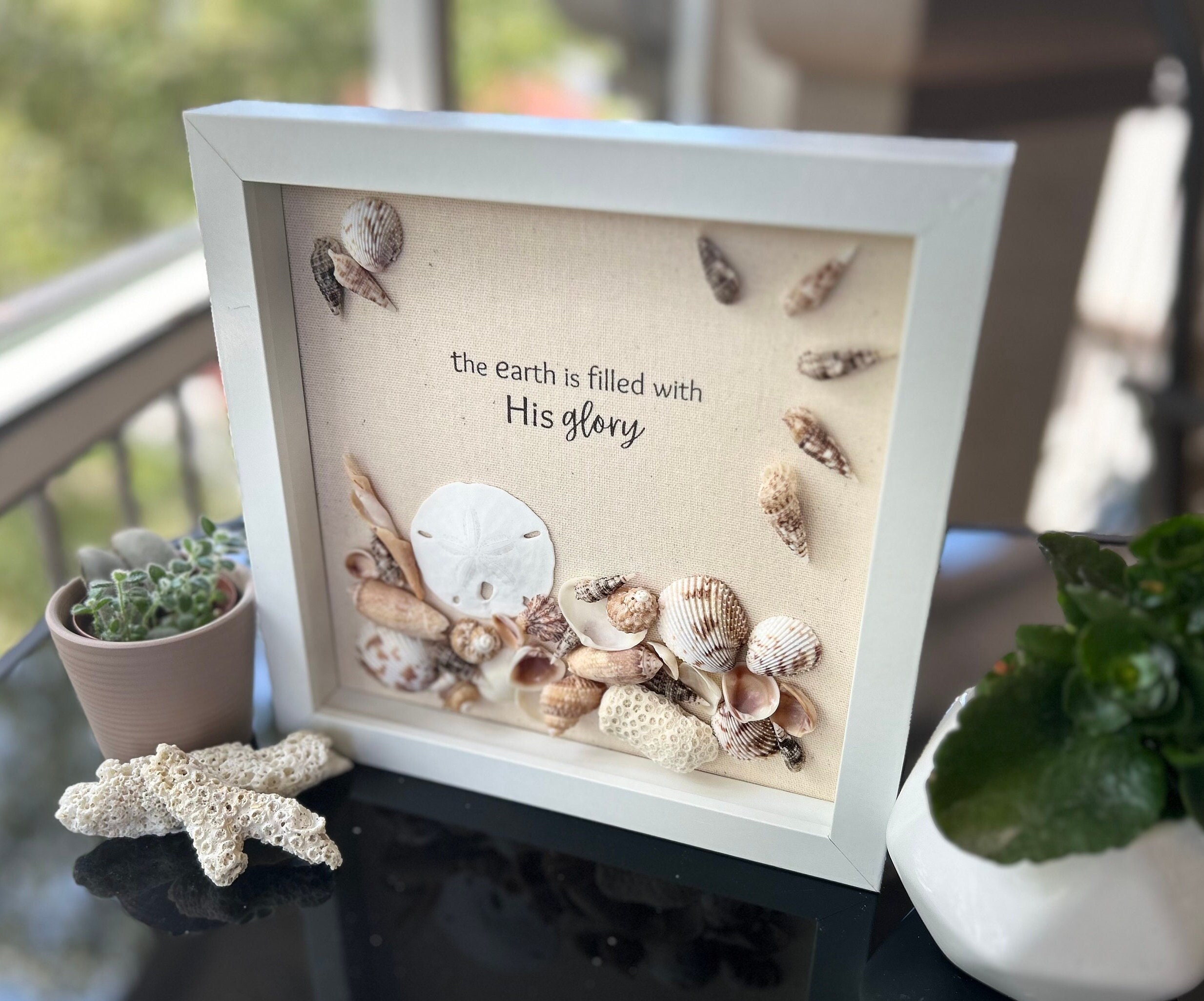 The Earth Shadow Box / Shells - Etsy
