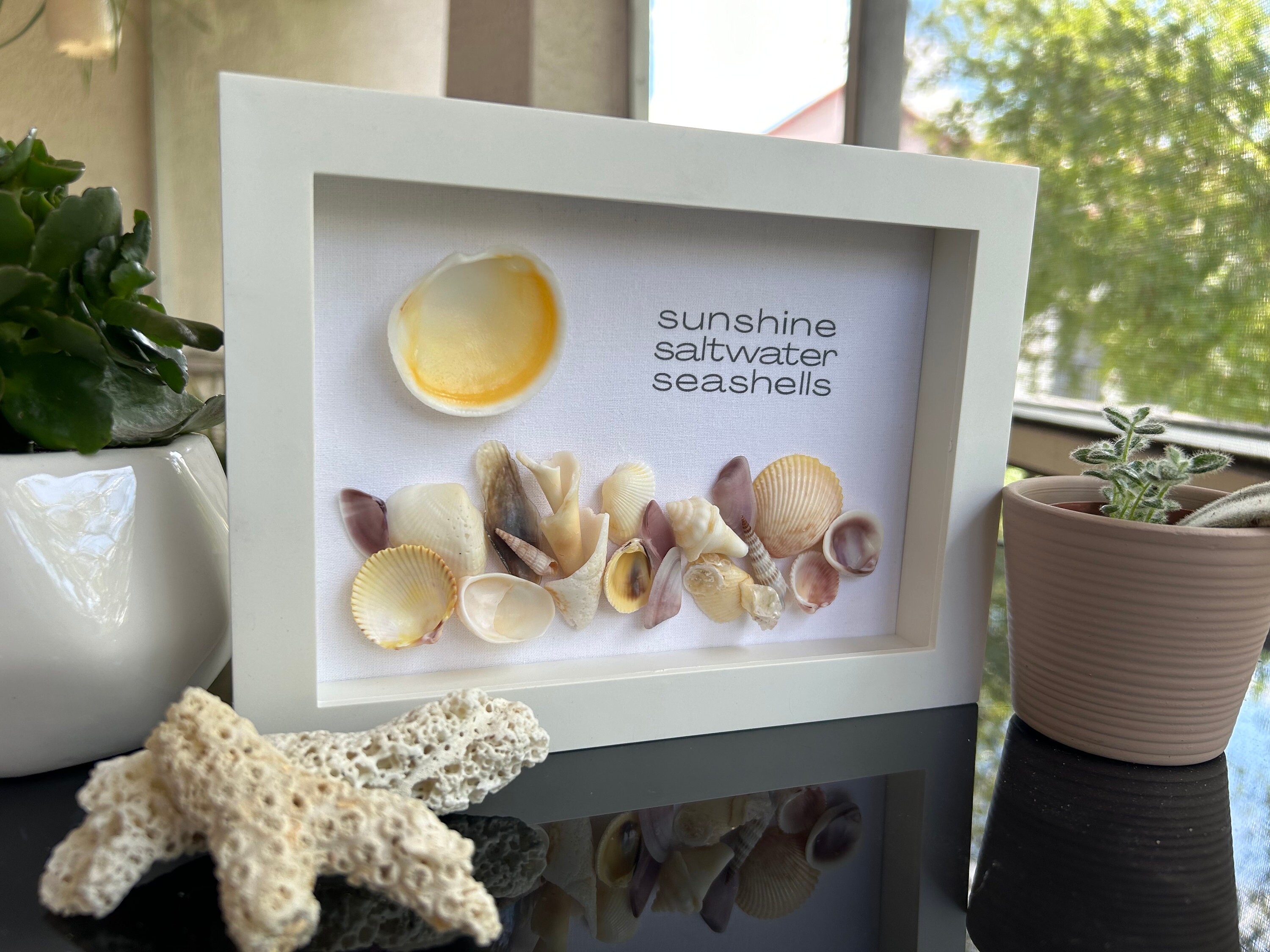 Seashells Shadow Box - Etsy