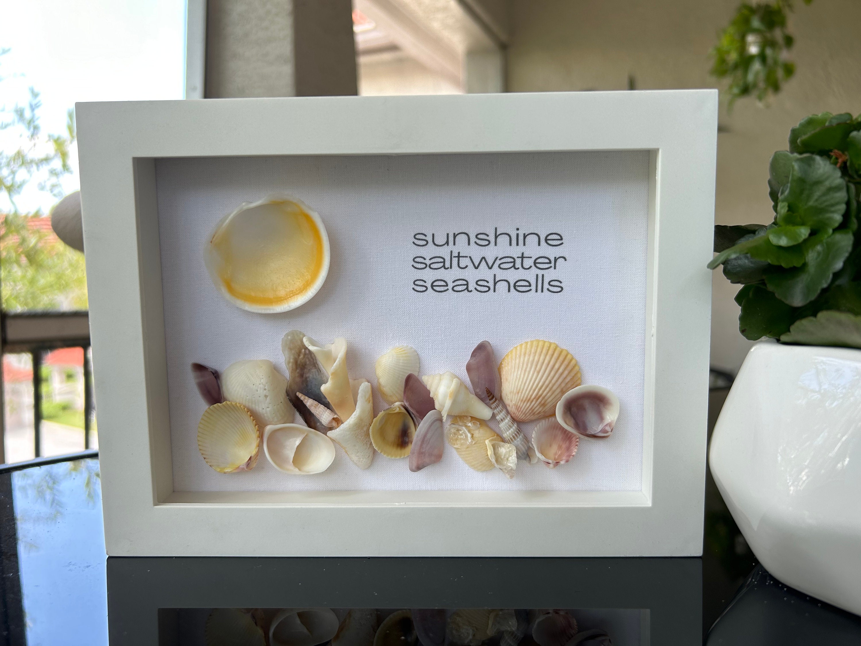 Seashells Shadow Box - Etsy