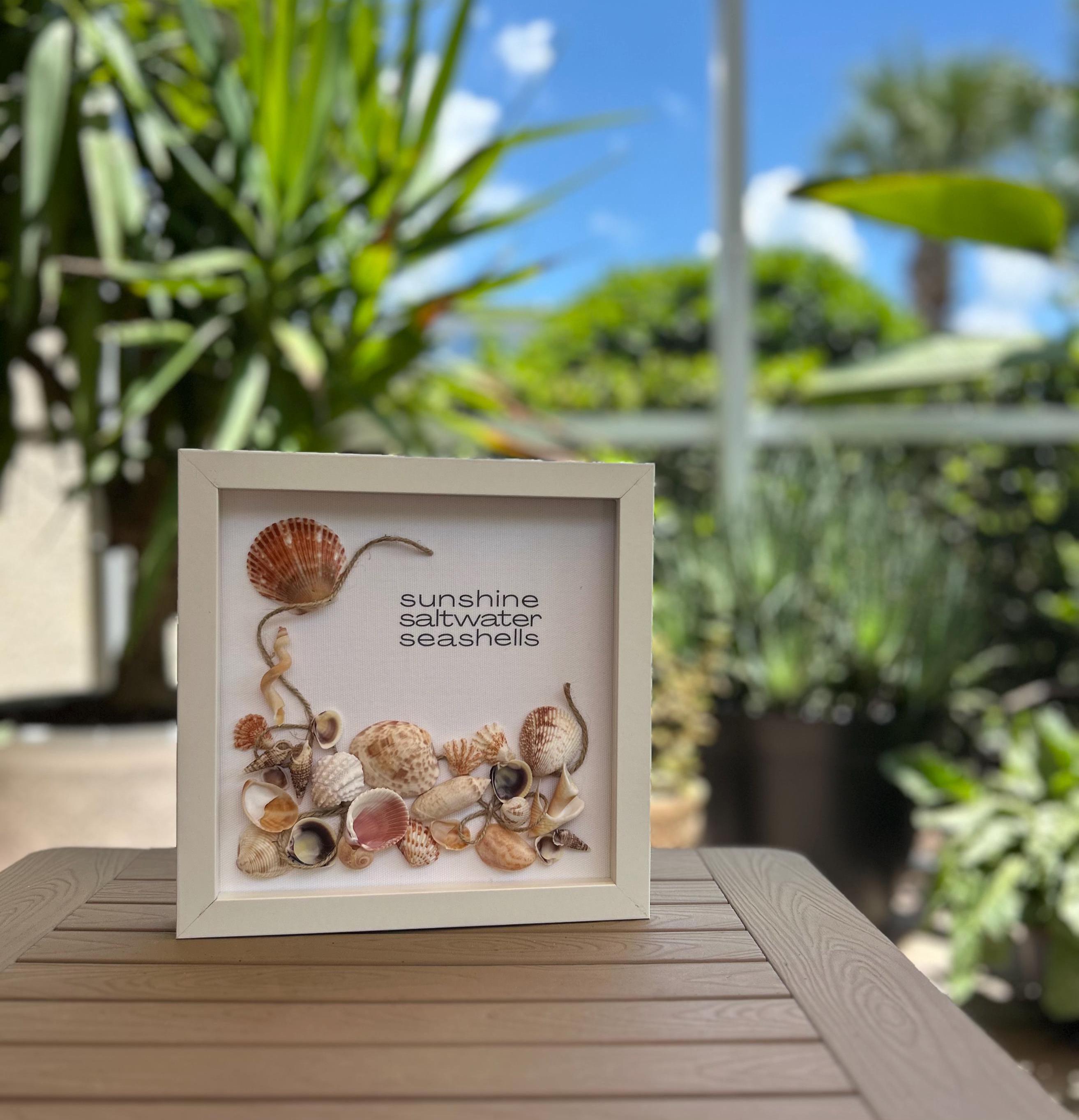 Sunshine Saltwater Seashells Shadow Box / Original Florida Handmade Art ...