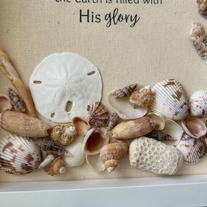 The Earth Shadow Box / Shells - Etsy