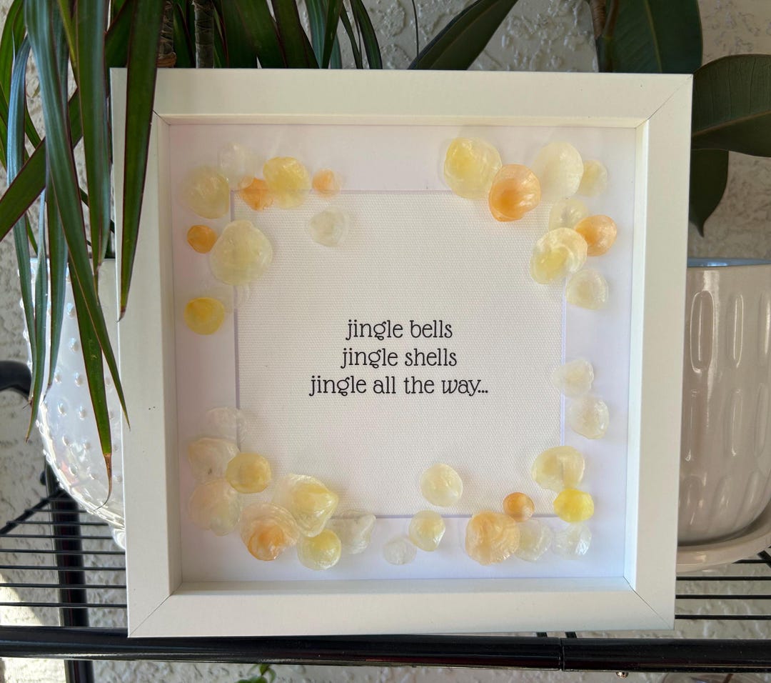Jingle Bells & Shells Shadow Box - Etsy