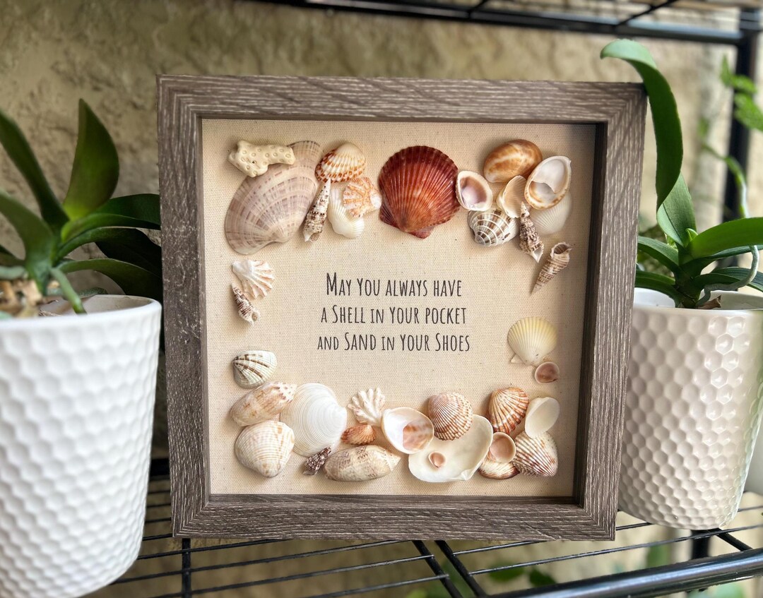 Beach Blessing Shell Shadow Box / Florida Handmade - Etsy