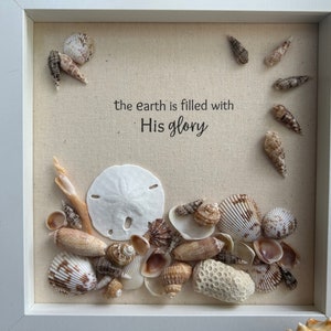 The Earth Shadow Box / Shells - Etsy