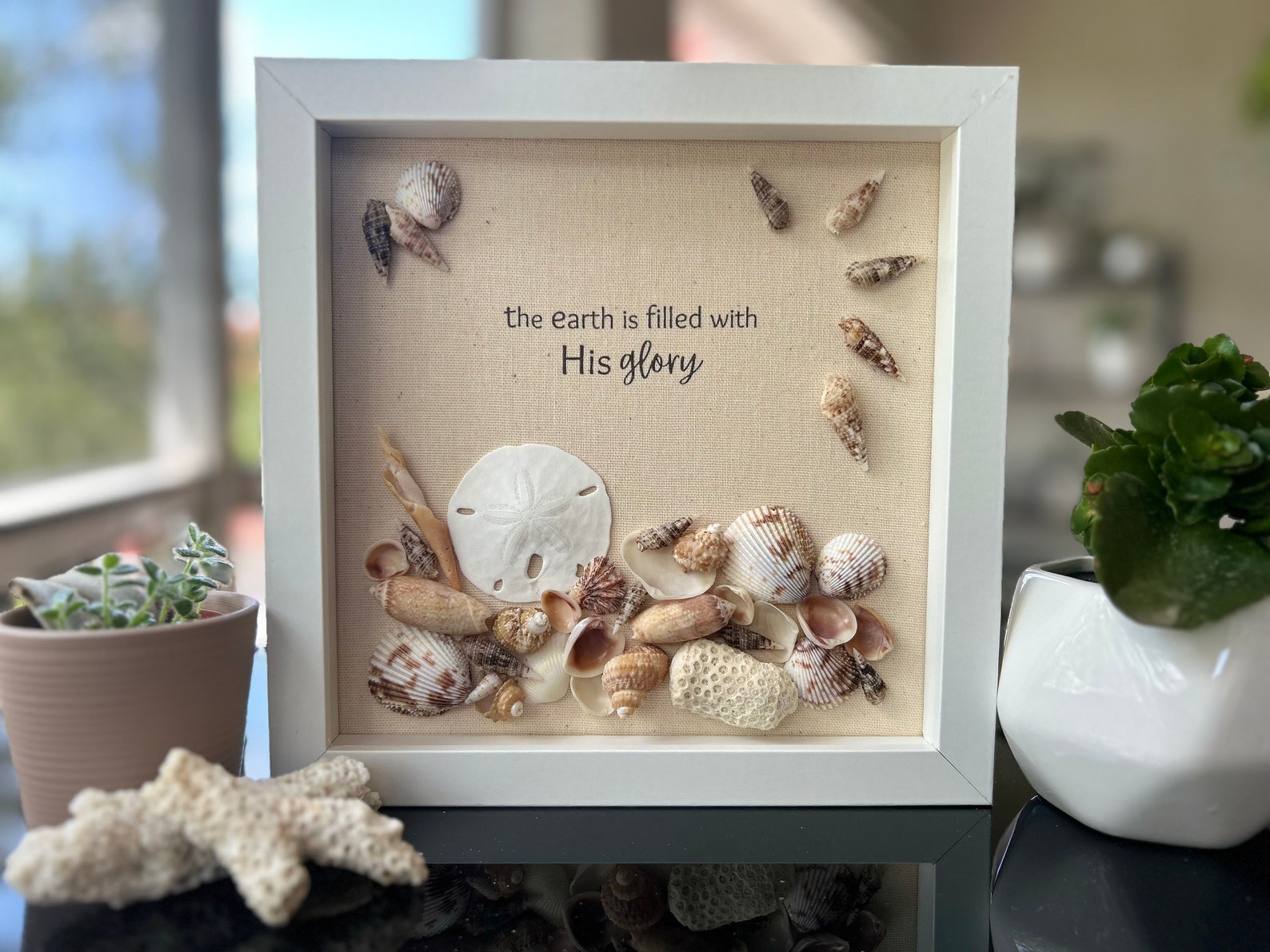 The Earth Shadow Box / Shells - Etsy