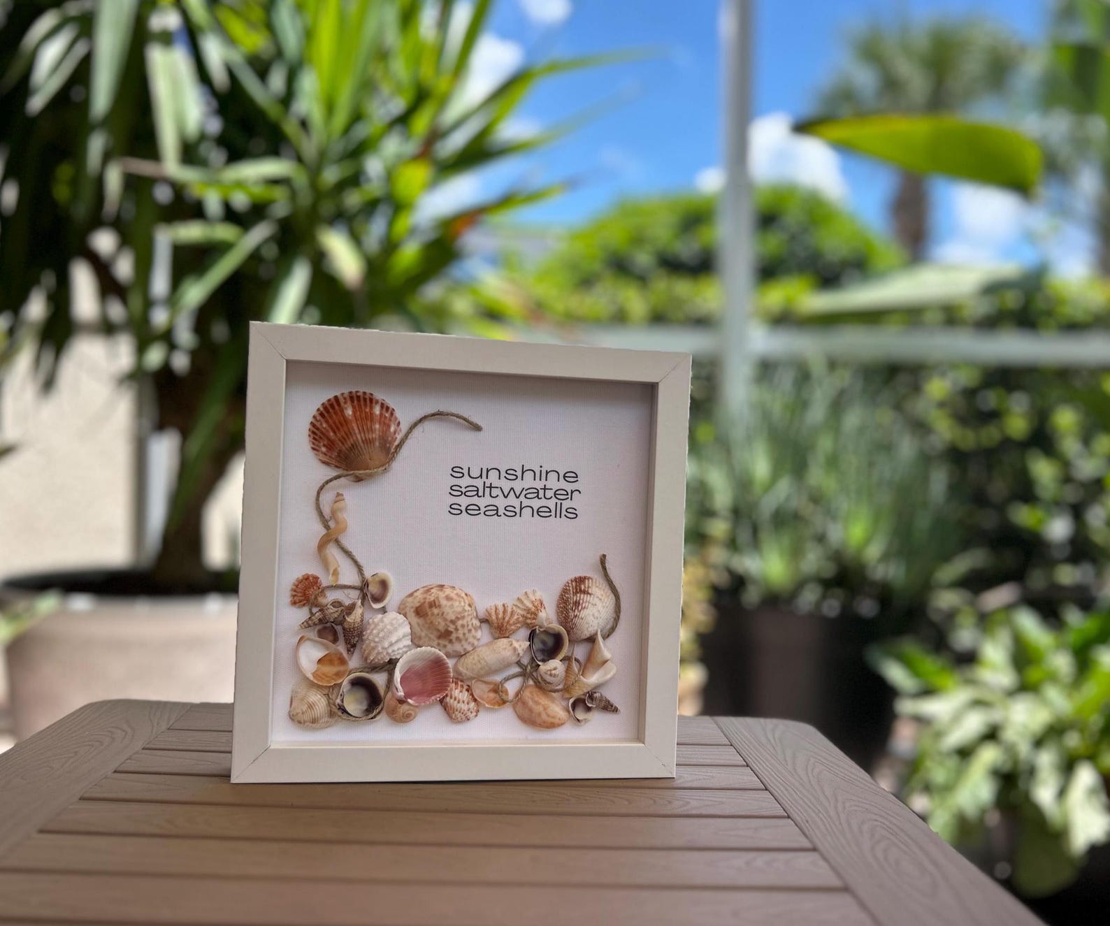 Sunshine Saltwater Seashells Shadow Box / Original Florida Handmade Art ...