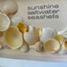 Sunshine Shadow Box - Etsy