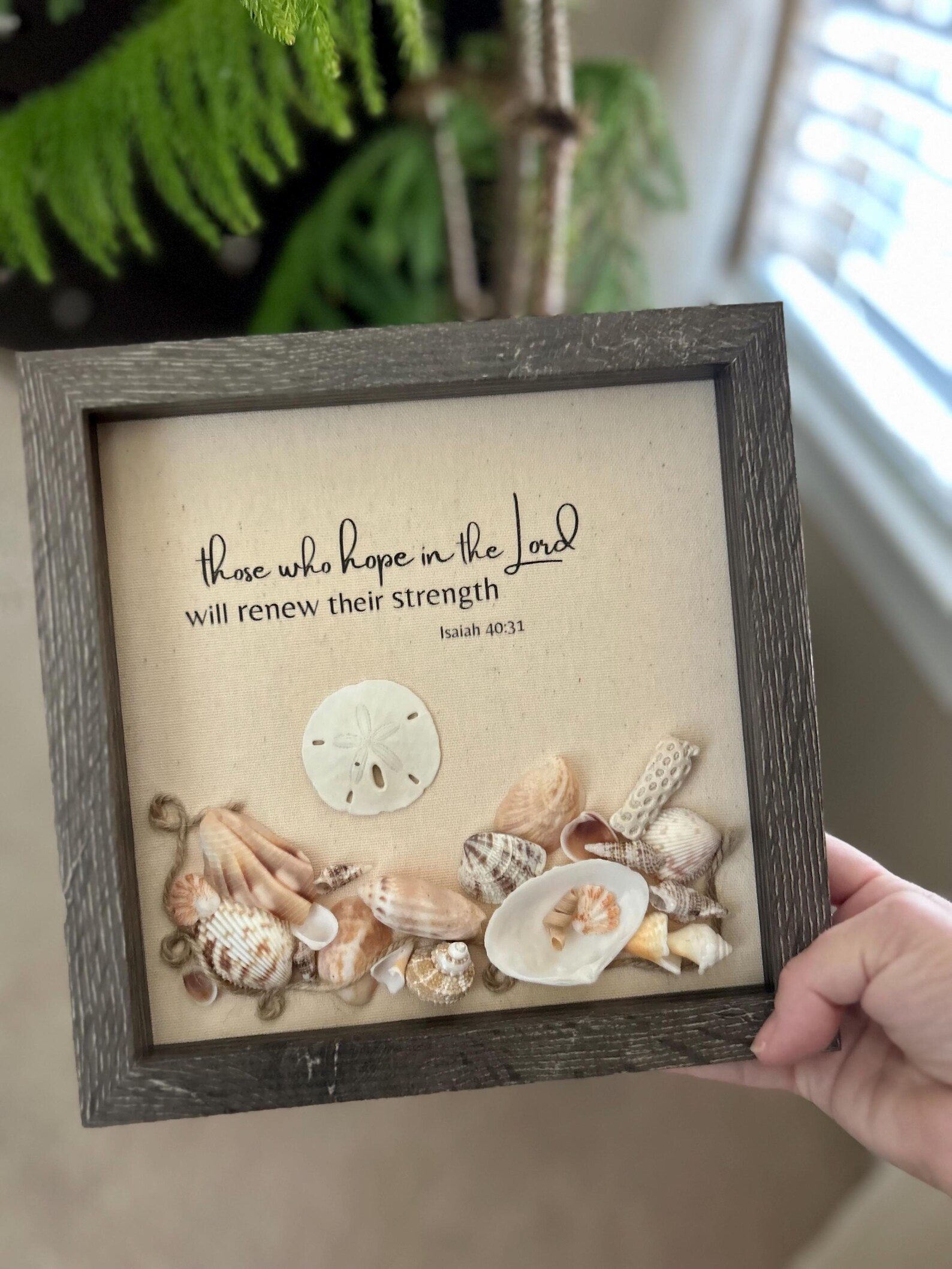 Hope in the Lord Shadow Box / Florida Shells - Etsy