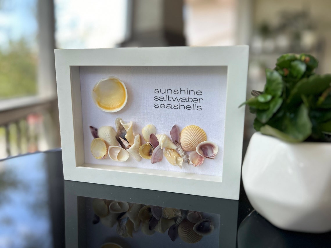 Seashells Shadow Box - Etsy