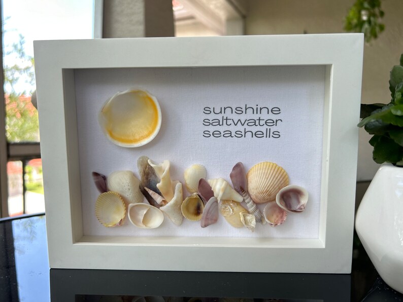 Seashells Shadow Box - Etsy