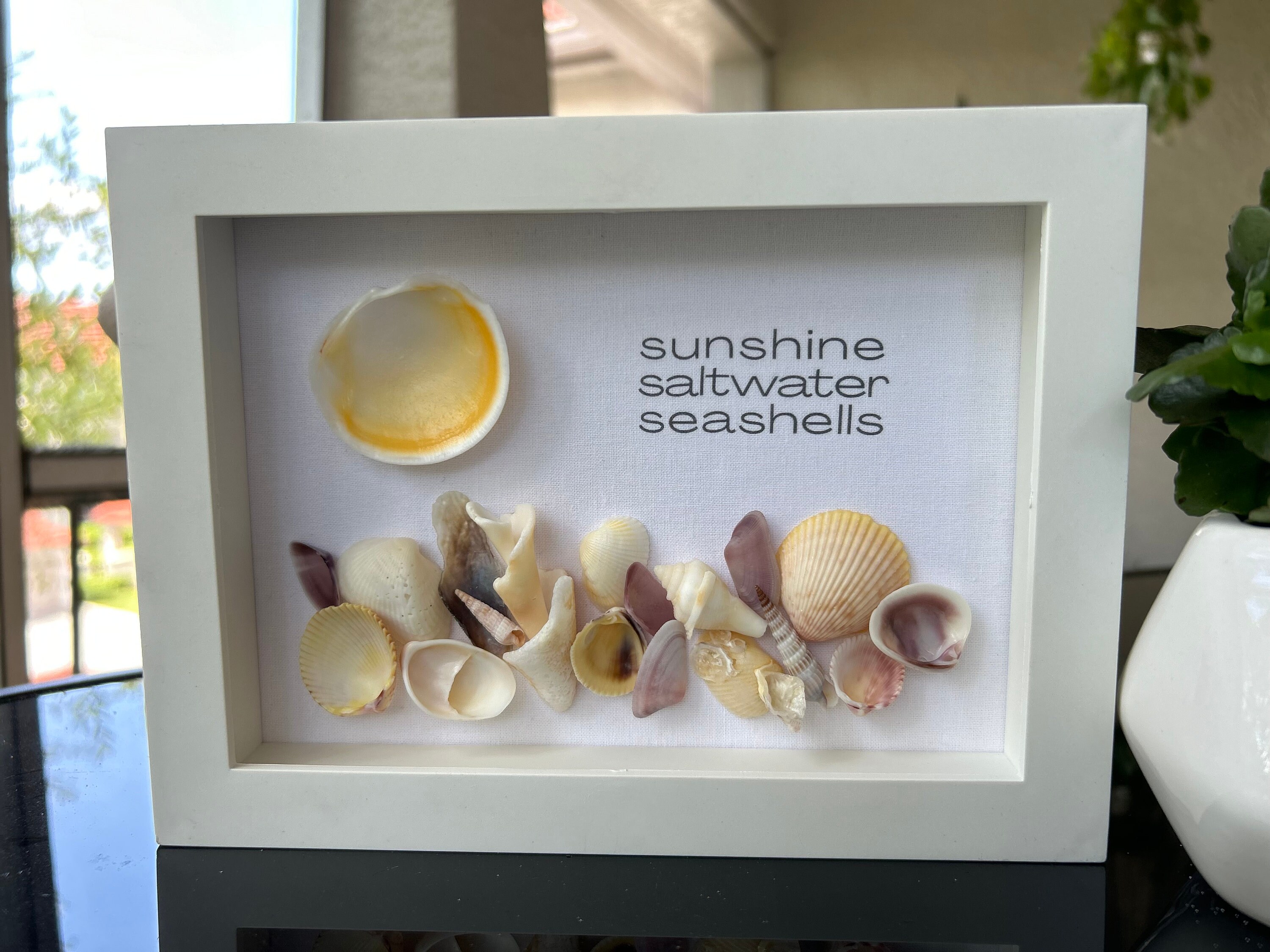 Seashells Shadow Box - Etsy