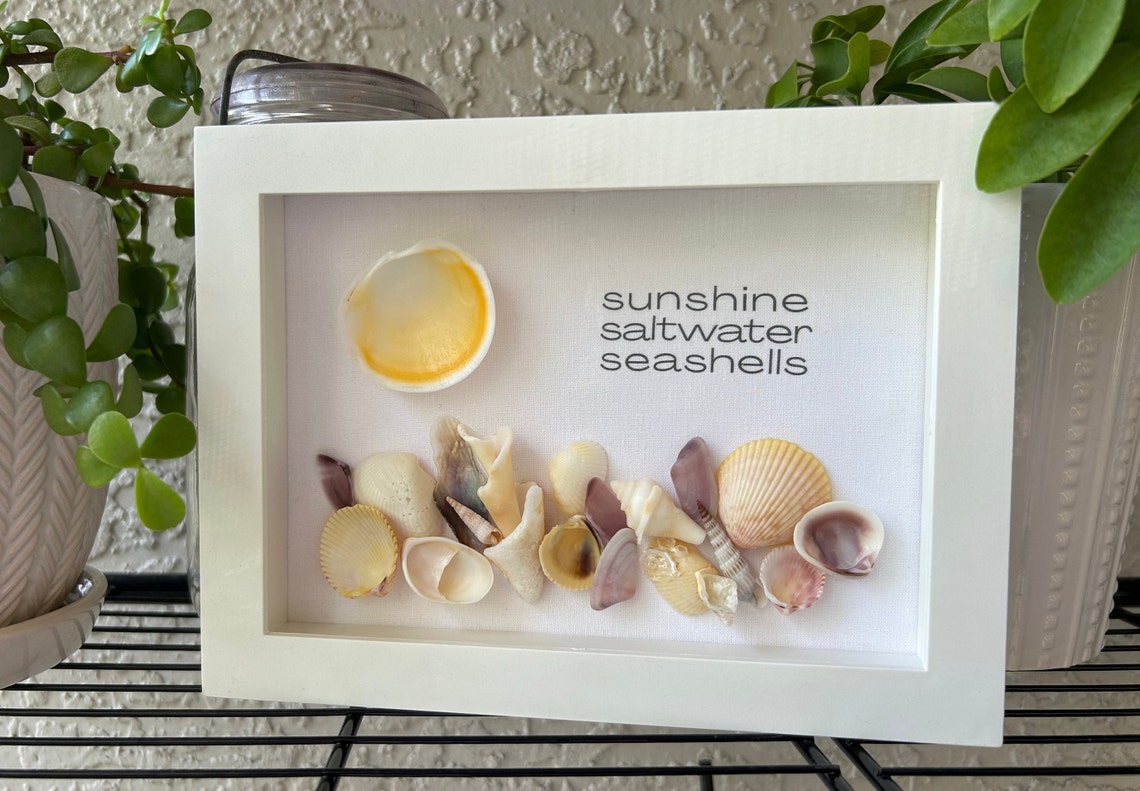 Seashells Shadow Box - Etsy