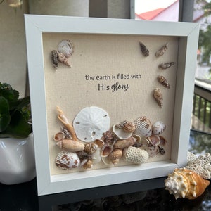 The Earth Shadow Box / Shells - Etsy