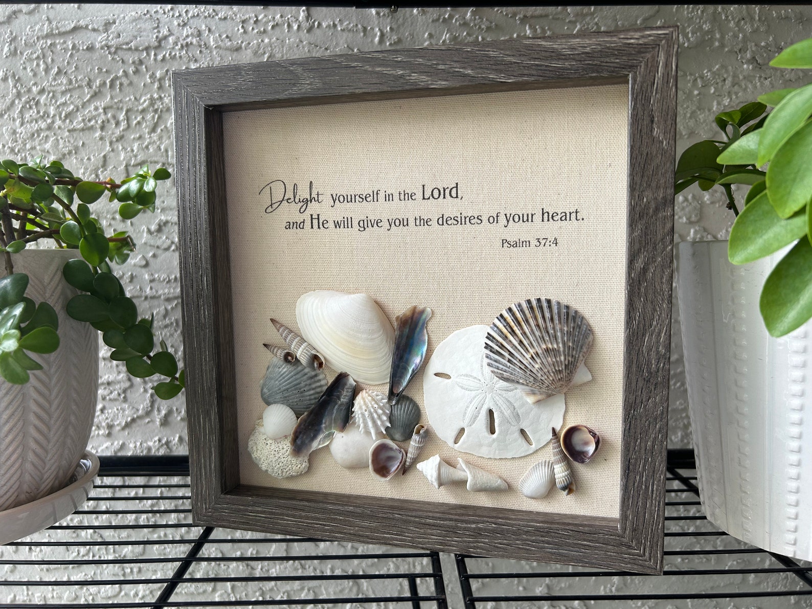Delight Shadow Box - Etsy