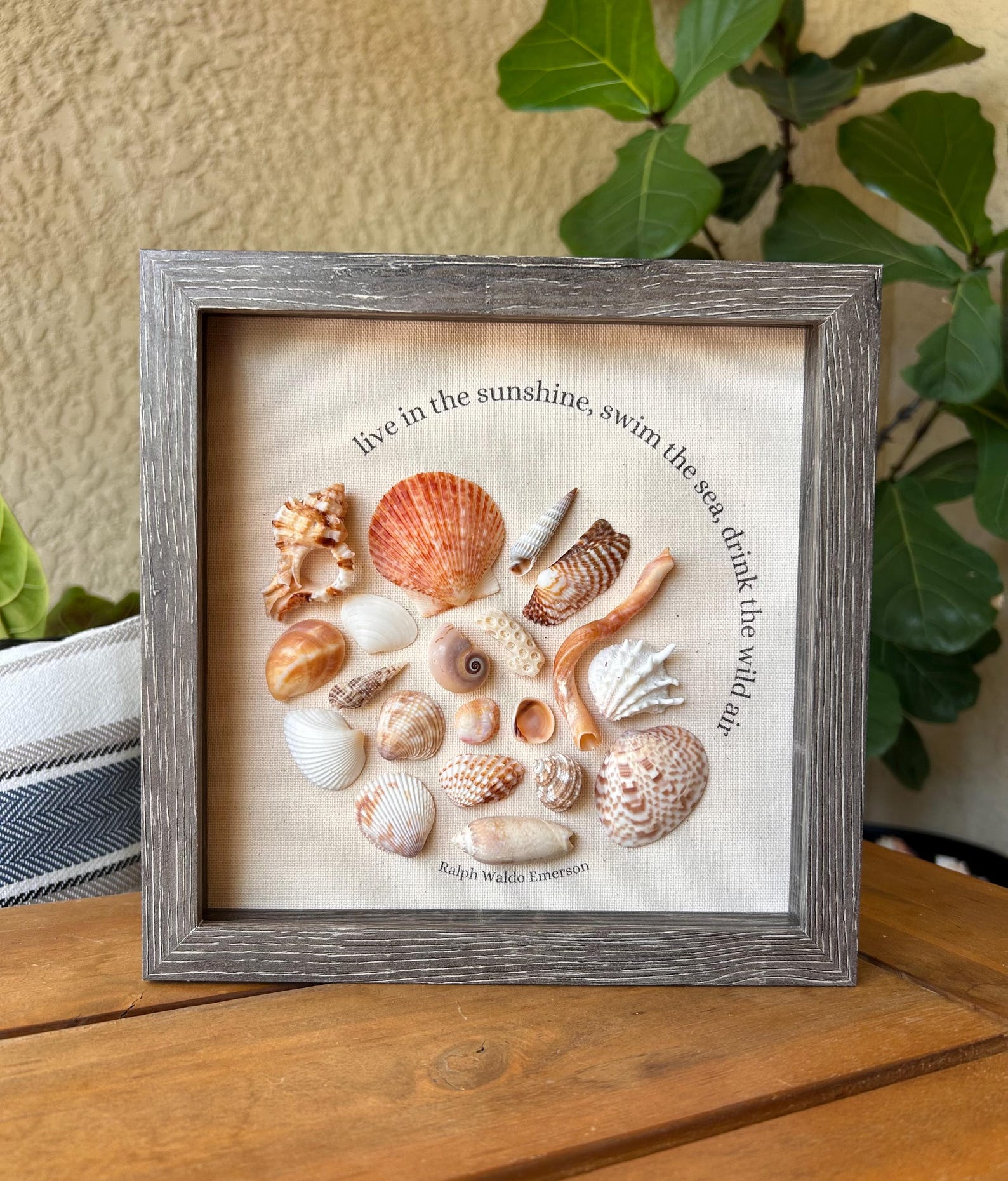 SWFL "swim the Sea" / Emerson Quote Shell Shadow Box - Etsy