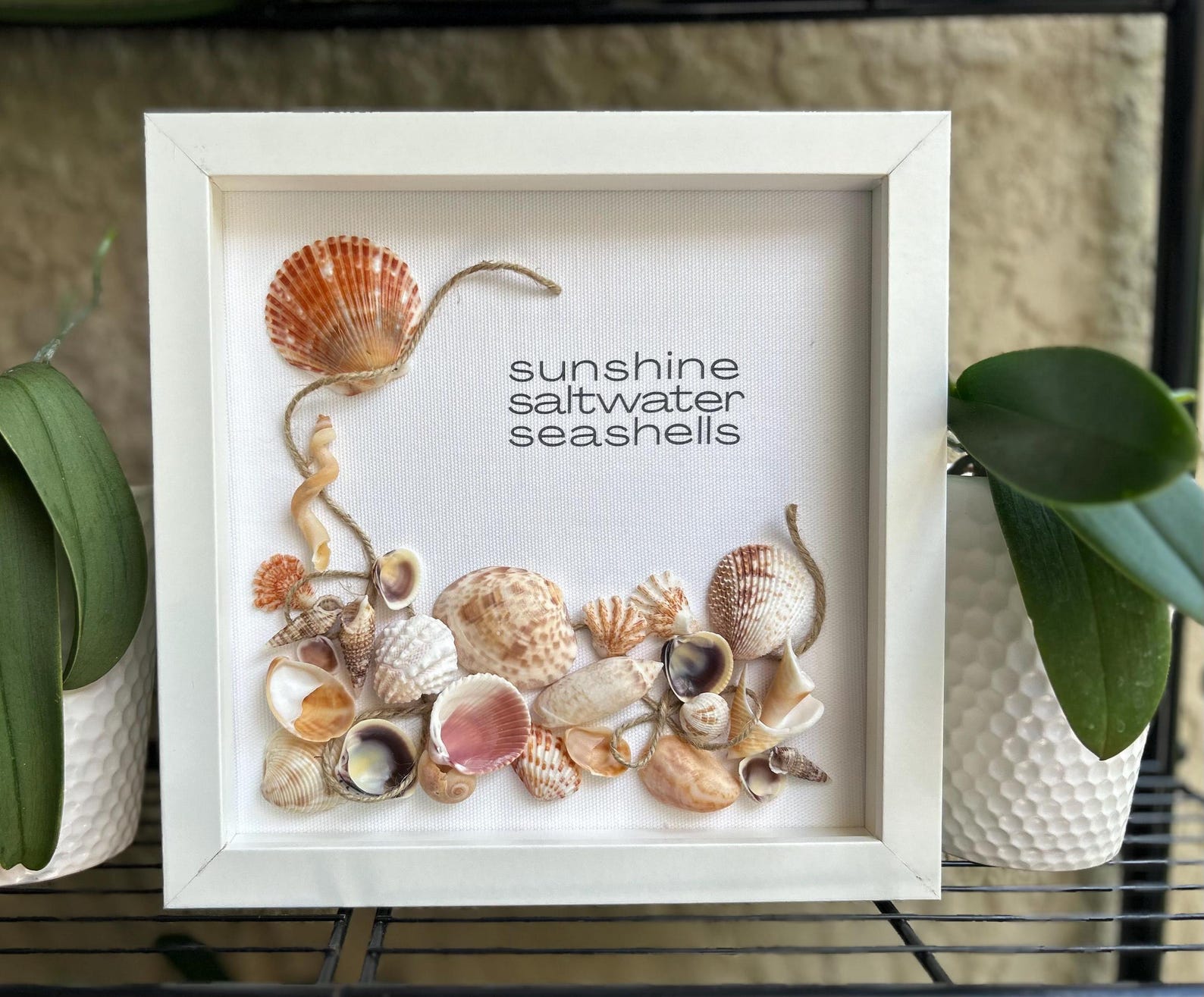 Sunshine Saltwater Seashells Shadow Box / Original Florida Handmade Art ...