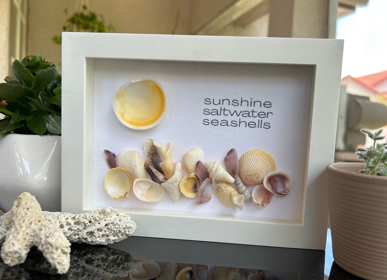 Seashells Shadow Box - Etsy