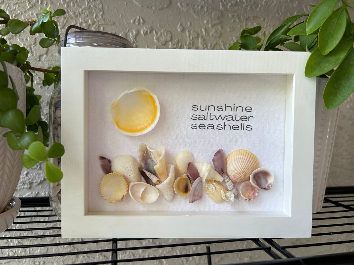 Seashells Shadow Box - Etsy