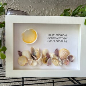 Seashells Shadow Box - Etsy