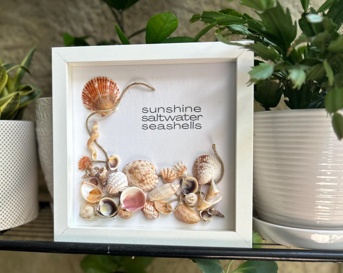 Sunshine Saltwater Seashells Shadow Box / Original Florida Handmade Art ...
