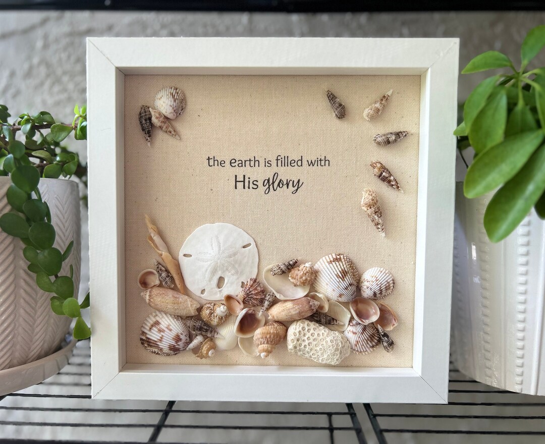 The Earth Shadow Box / Shells - Etsy