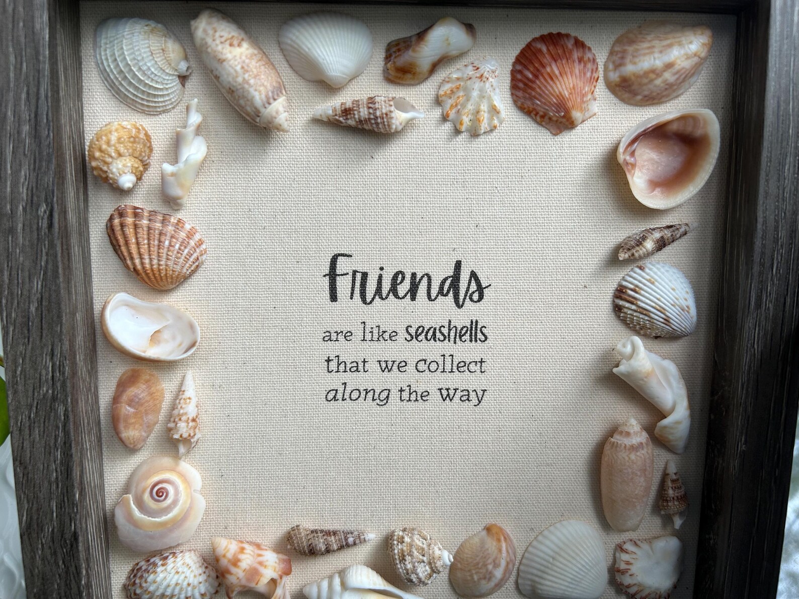 Friends Are Like Seashells Shadow Box - You Choose Frame Color! - Etsy