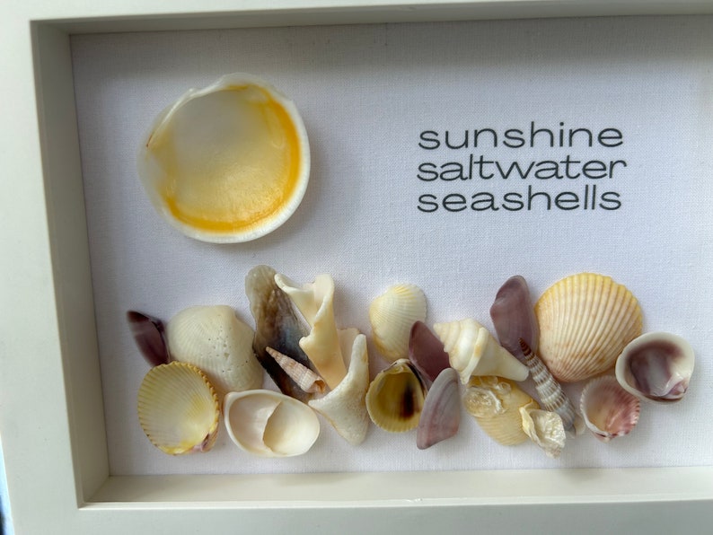 Seashells Shadow Box - Etsy