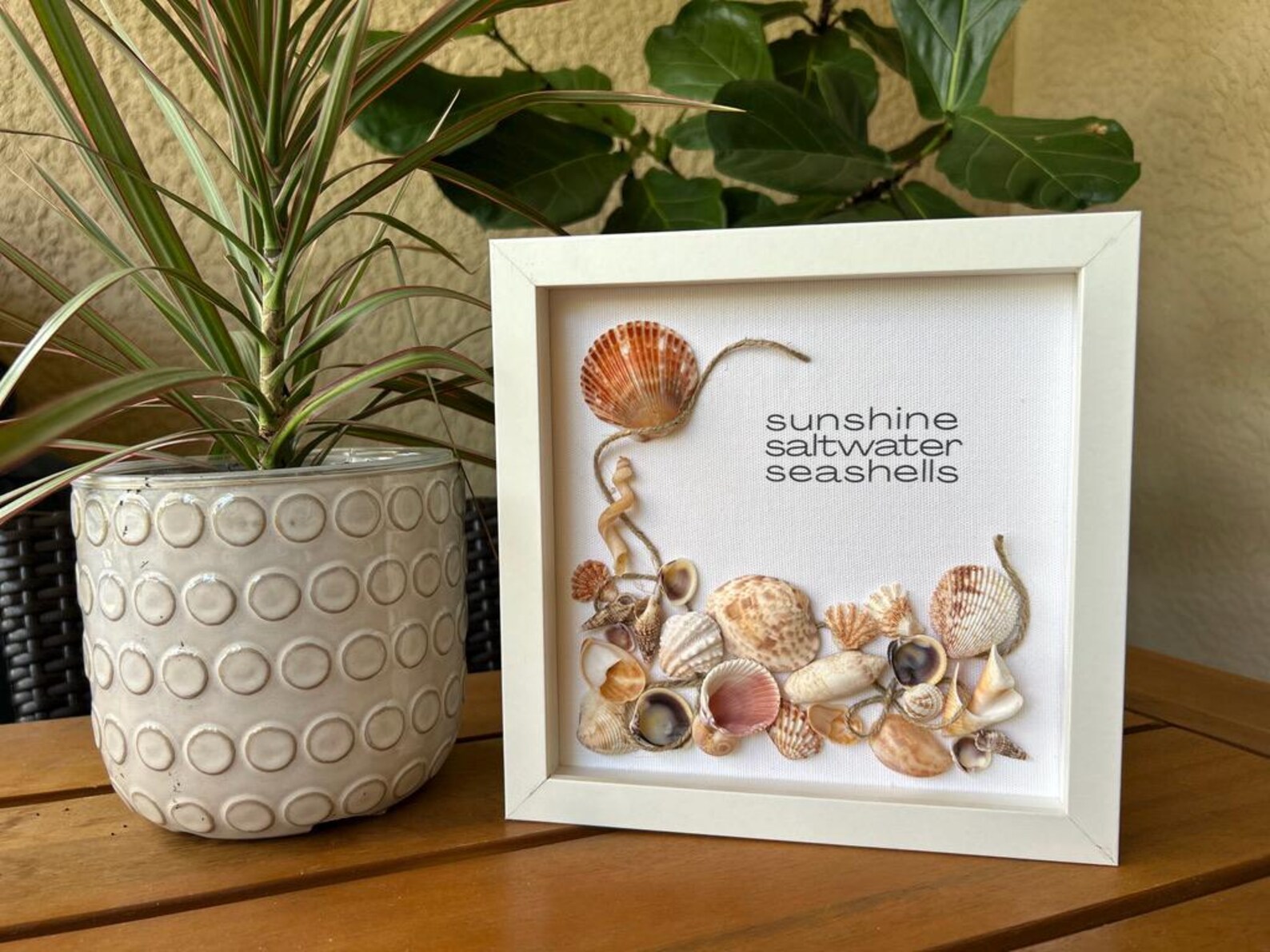 Sunshine Saltwater Seashells Shadow Box / Original Florida Handmade Art ...