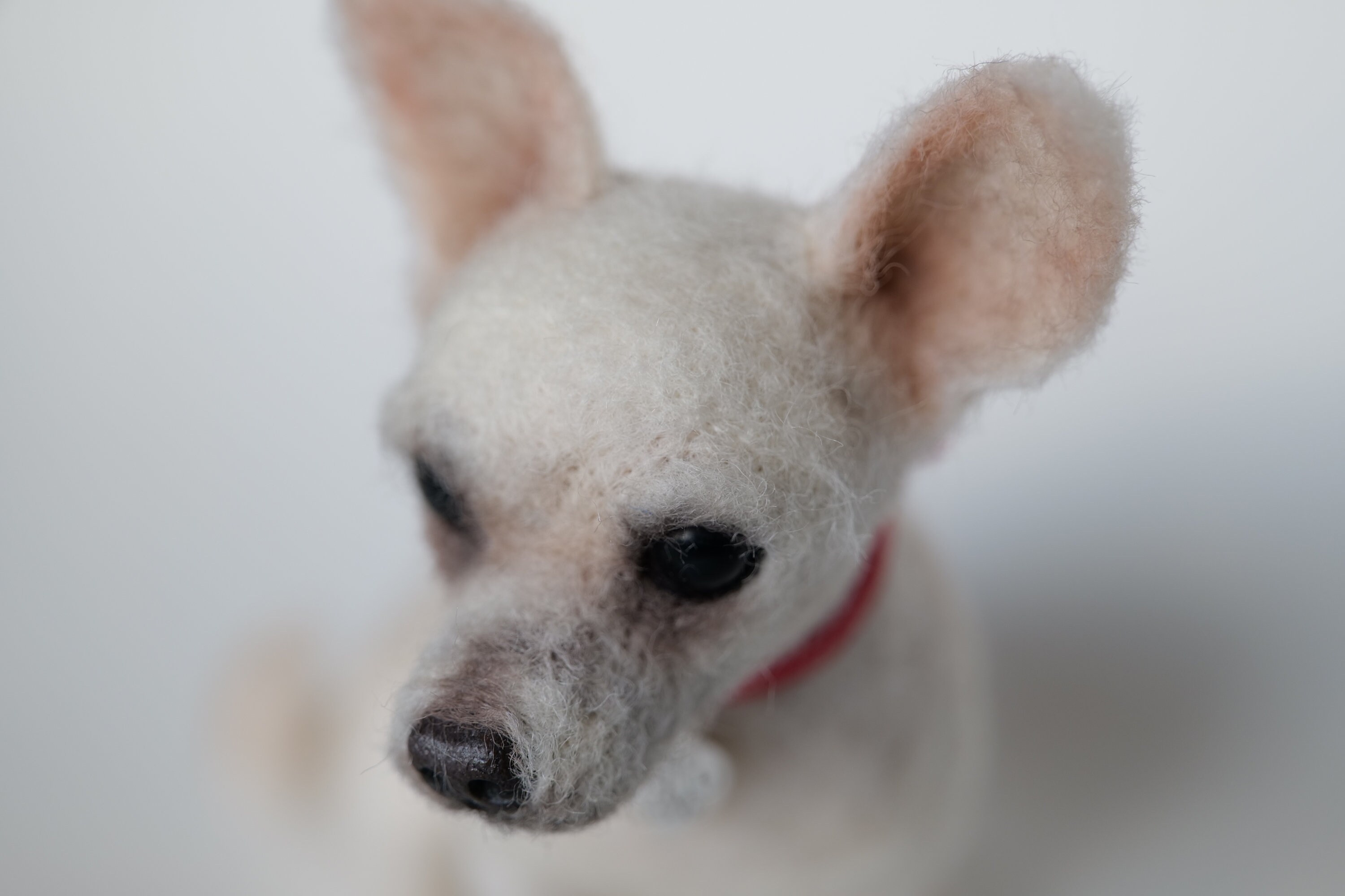 READY TO GO Realistic Chihuahua Replica, Dog Portrait, Needle Felted ...