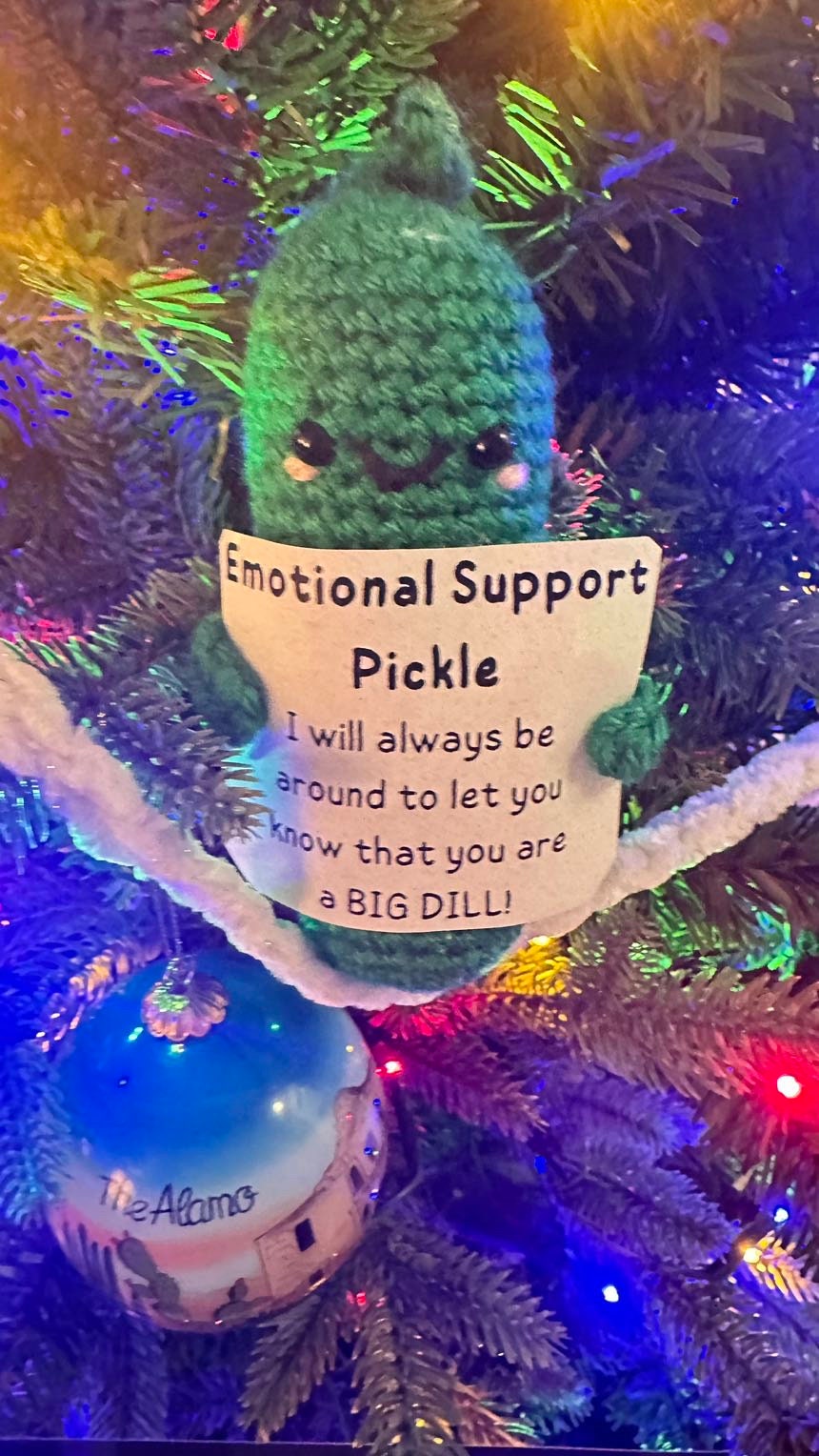 Cute Emotional Support Pickle, Positive Pickle, Send Hugs and Positive ...