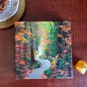 4x4 8x8 13x13 Fall Painting Art Print Autumn Scenery Art Colorful ...