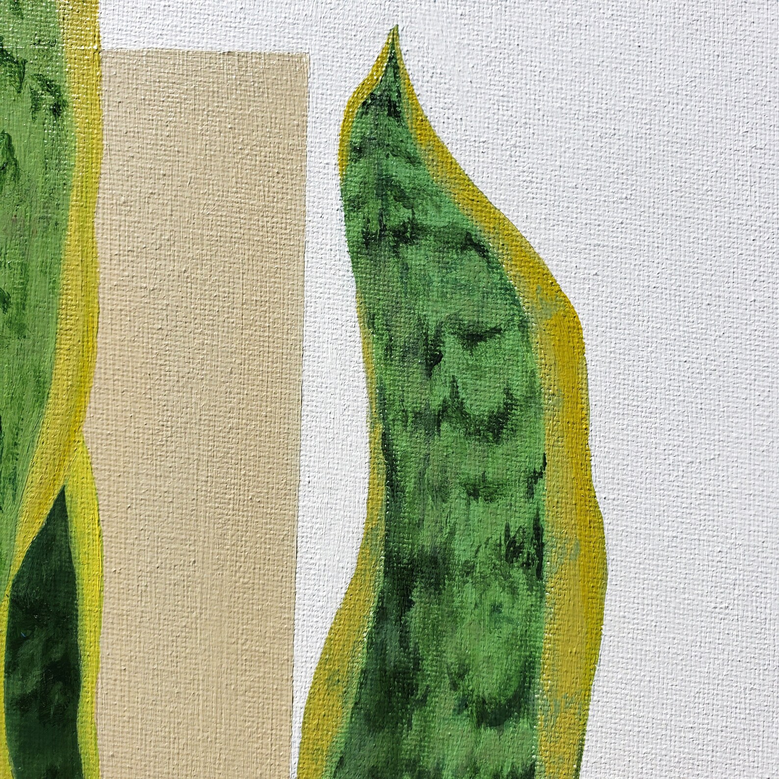 Original Snake Plant Painting, Acrylic on Canvas, Minimalist Art - Etsy