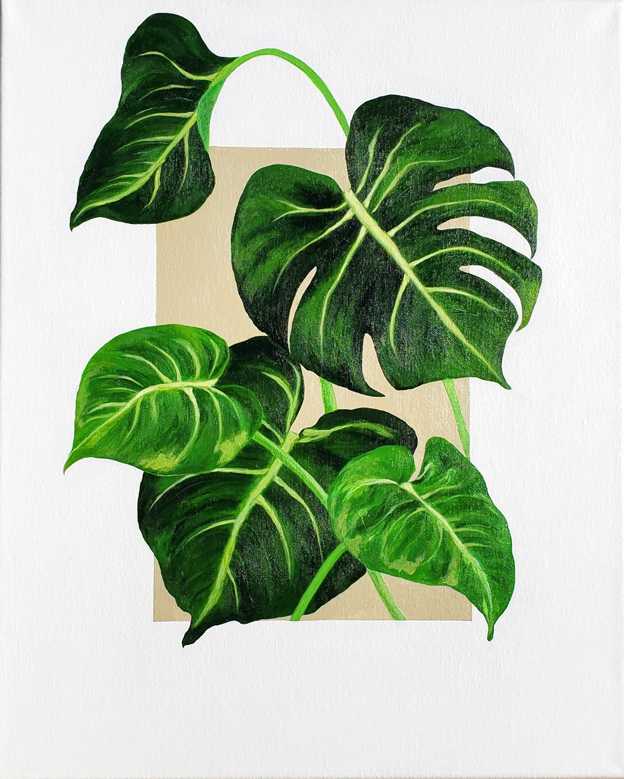 16x20 Monstera Painting Original Houseplant Painting Original - Etsy