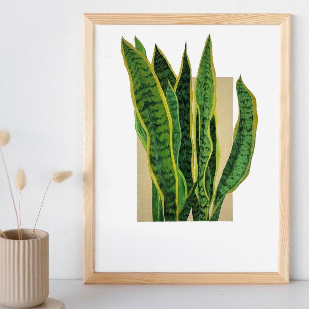 Original Snake Plant Painting, Acrylic on Canvas, Minimalist Art - Etsy