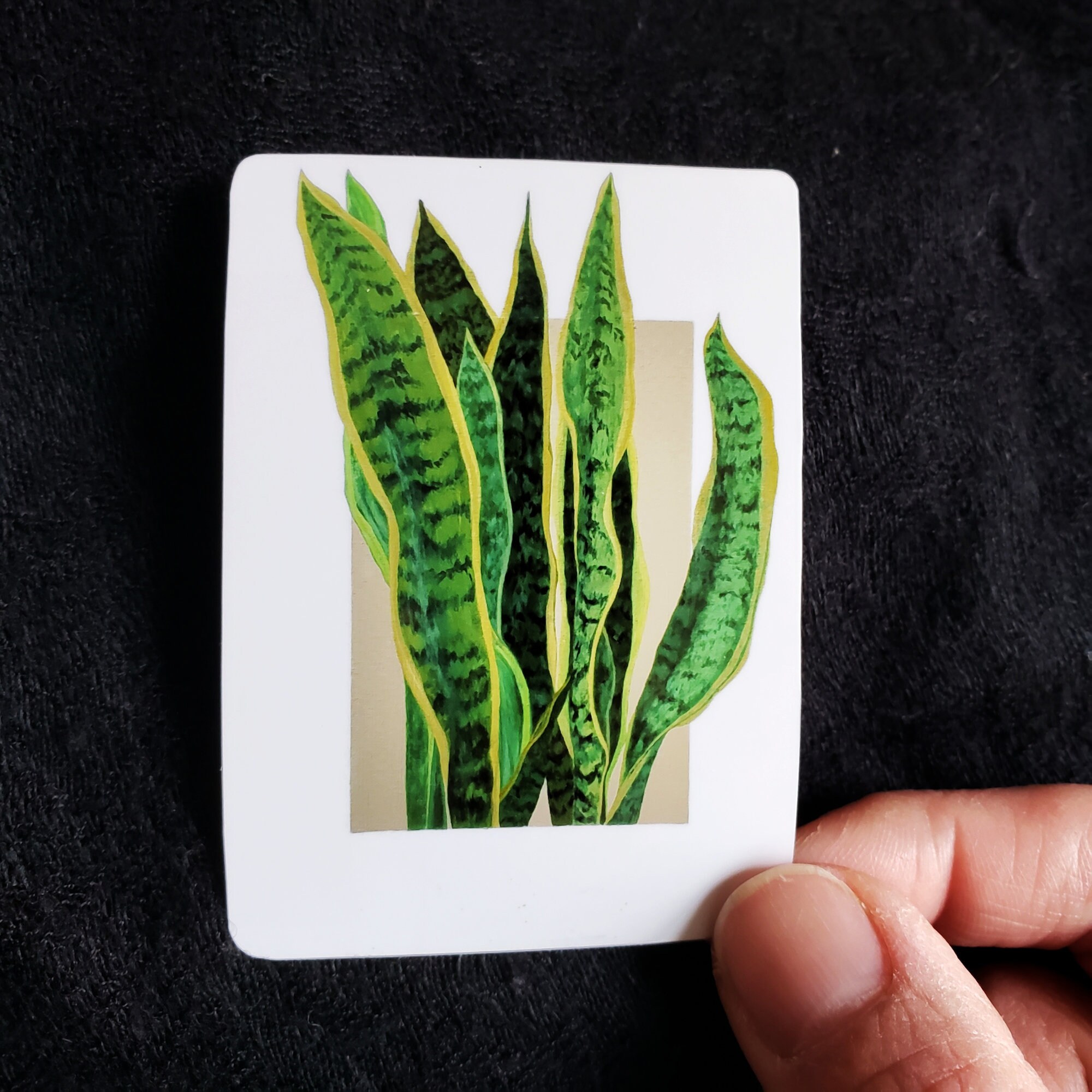 Snake Plant Sticker, Houseplant Vinyl Stickers, Water Bottle Stickers ...