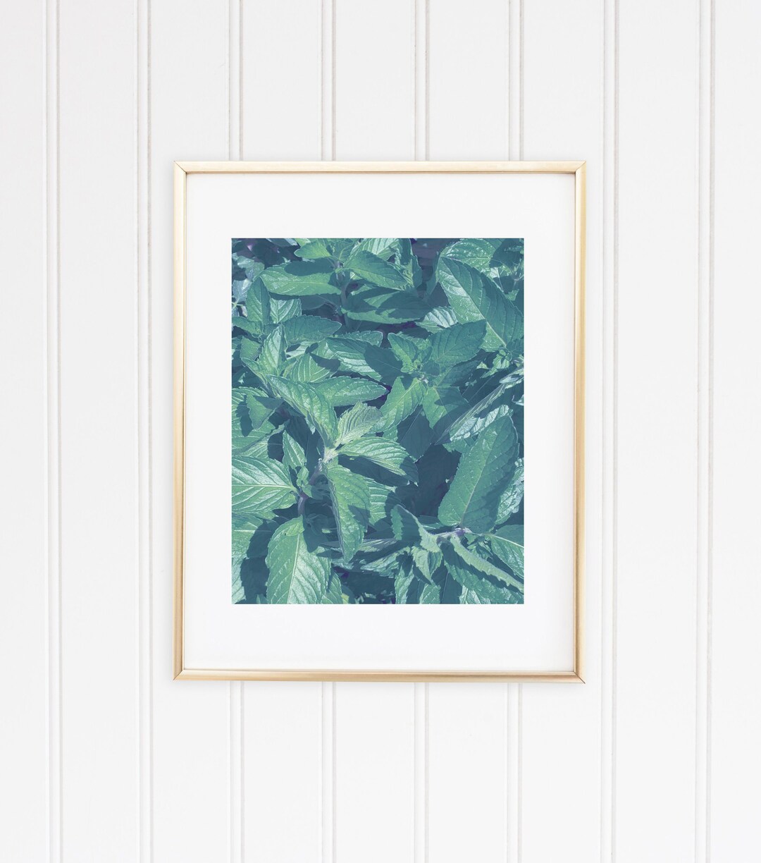 Mint Art Print, Green Plant Print, Botanical Wall Decor - Etsy